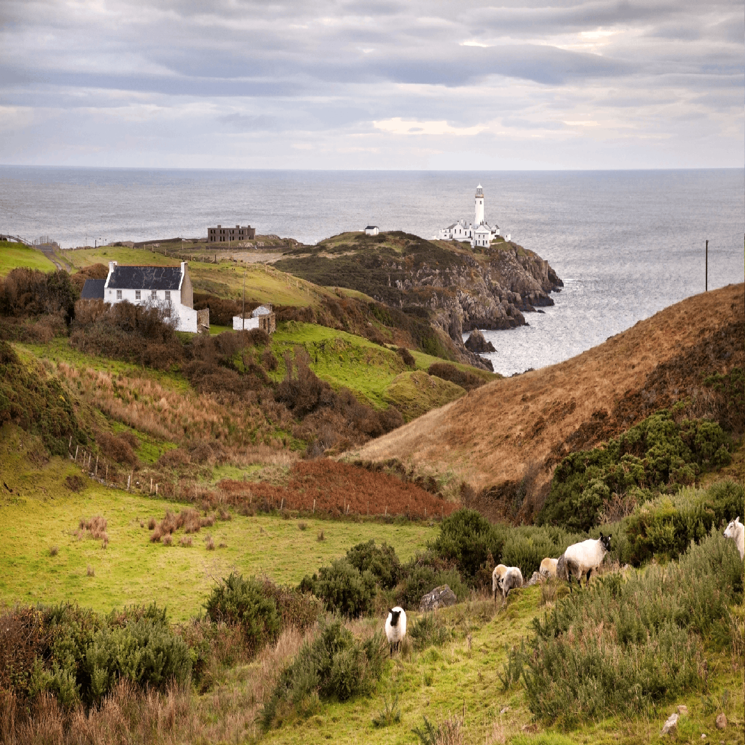 Nazi sa Ghaeltacht | Newstalk