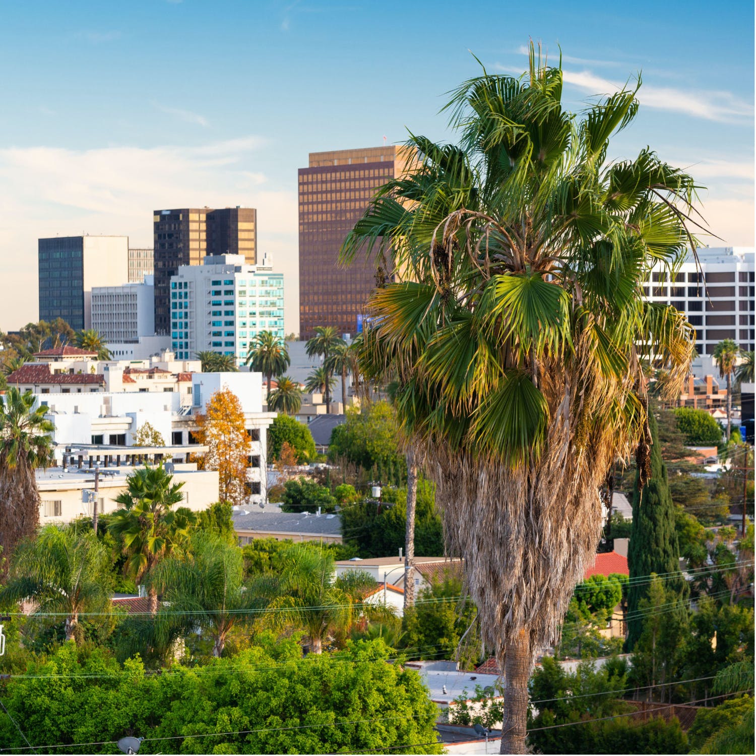 Selling Sunset Fans: The News You Have All Been Waiting For