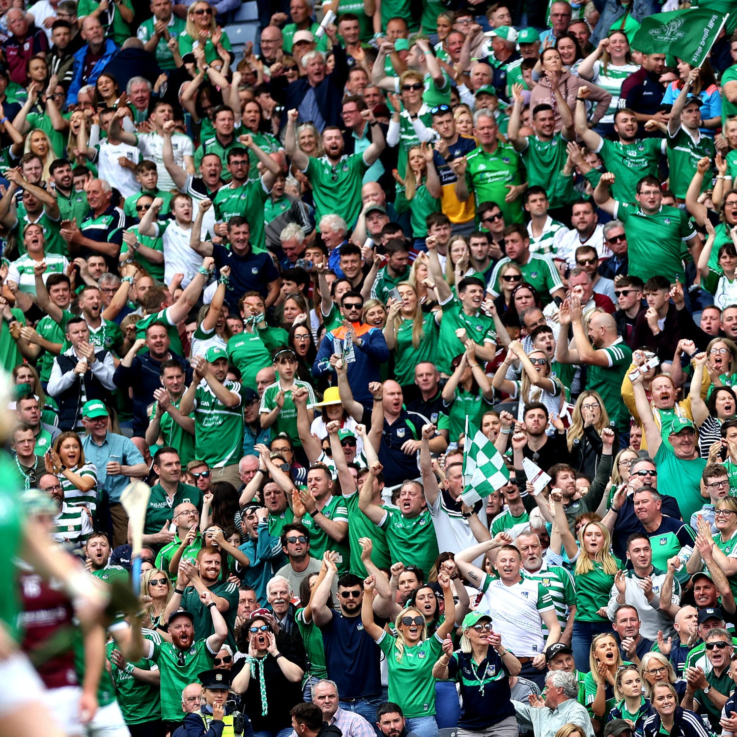 Is This Man Limerick's Biggest GAA Fan?