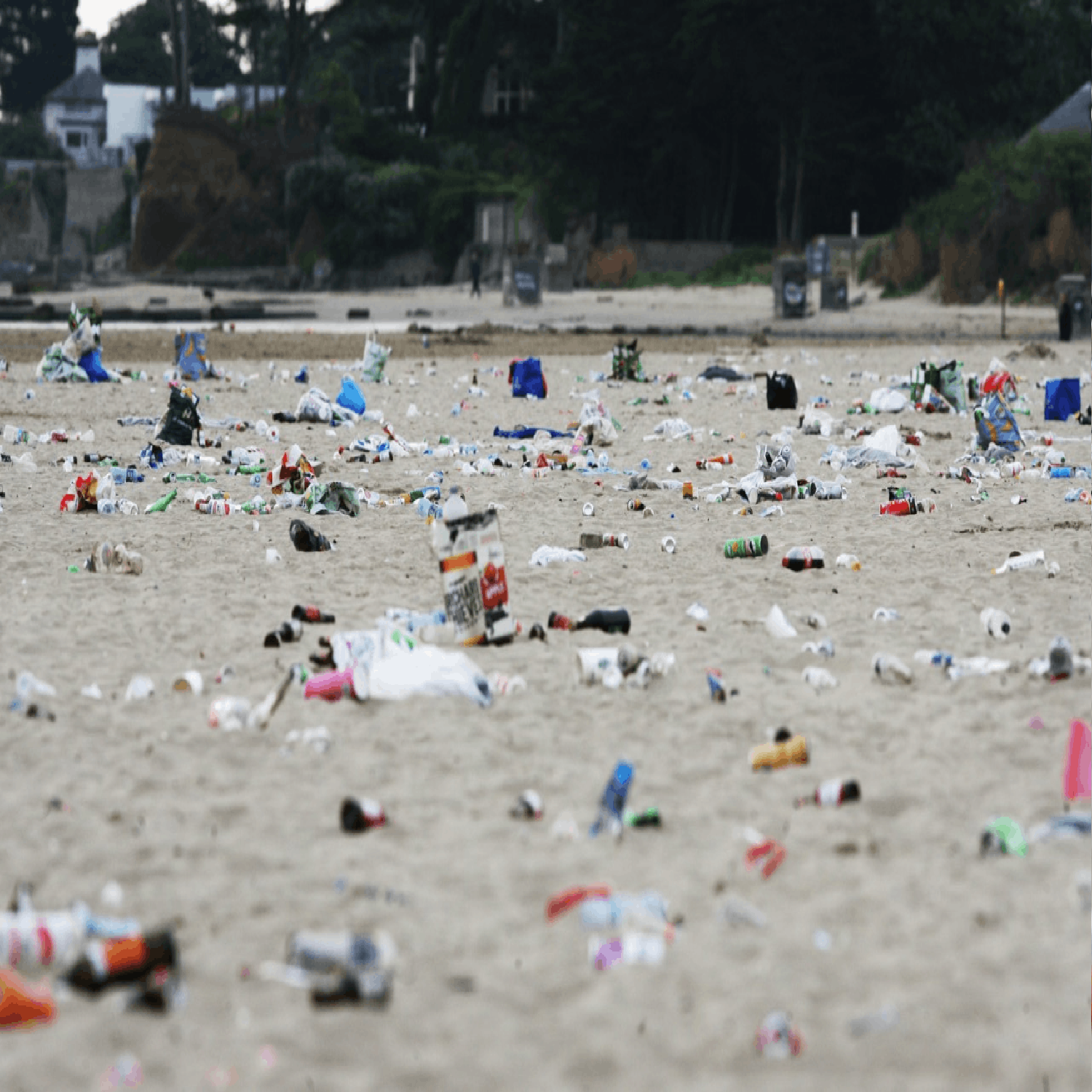 "They estimated they took ten tons of rubbish of the beach this morning ...