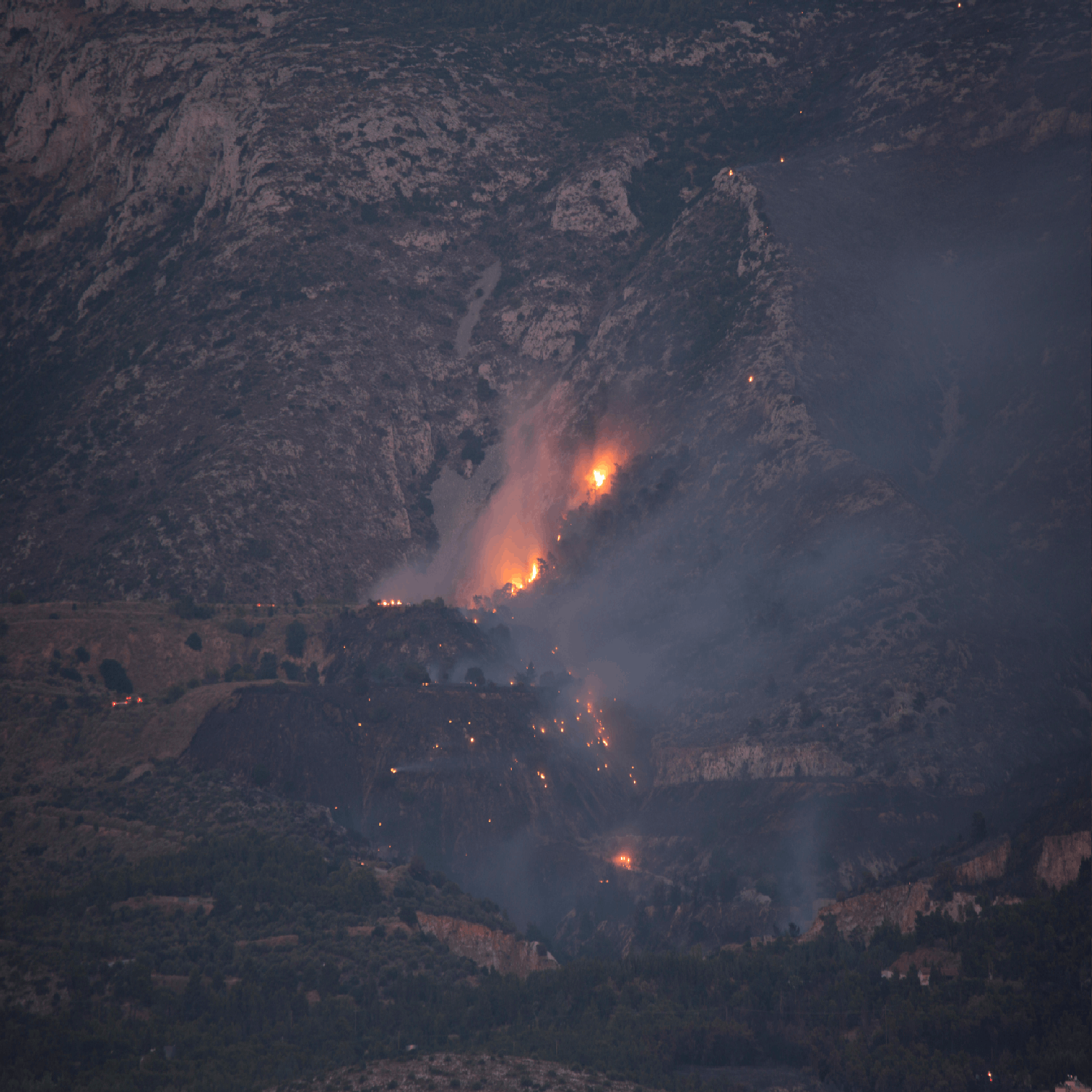 Zoe Holohan | Newstalk