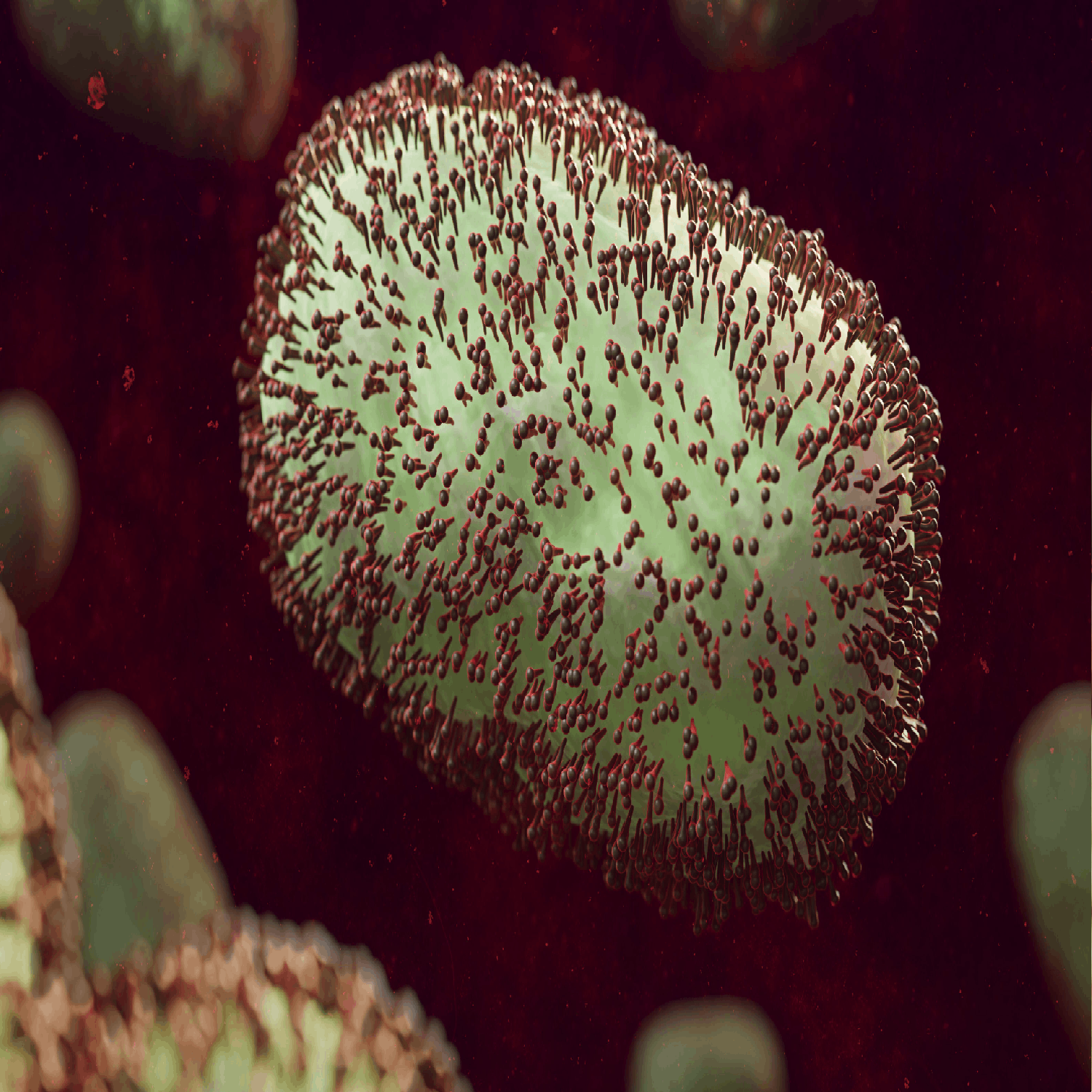 The stigma of monkeypox | Newstalk