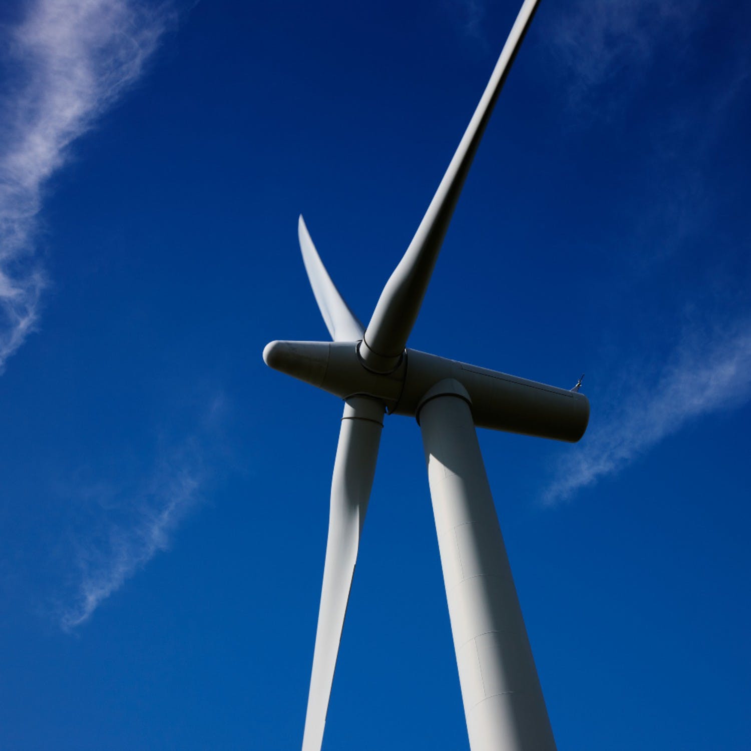 Wind farm revenue continues to multiply | Newstalk
