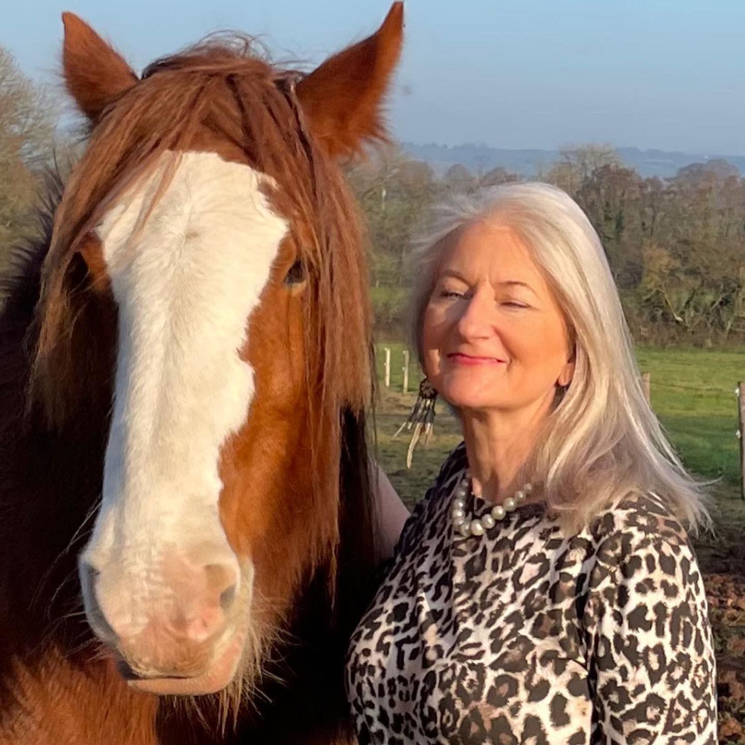 Kickstart Your Weekend: Animal Reiki with Noreen Roche | Newstalk
