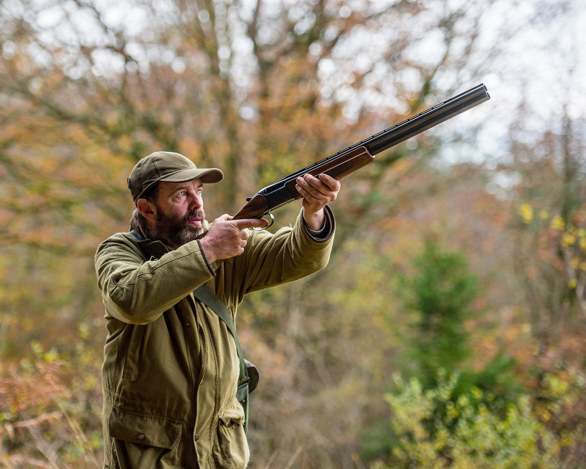 'Oh, deer!' Hunters ordered to take course on killing deer | Newstalk