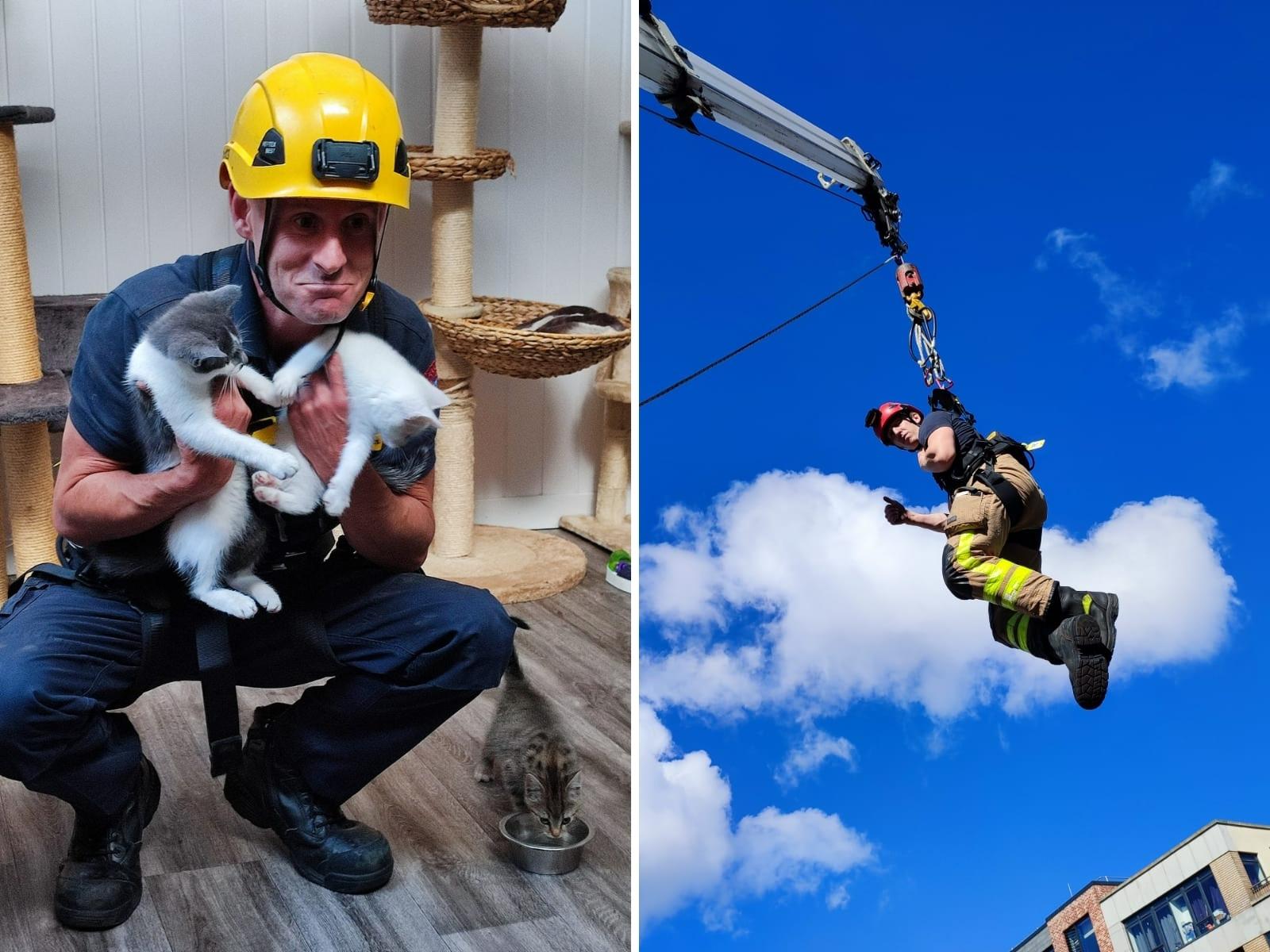 Firefighters save hungry kittens trapped in Dublin rescue centre | Newstalk