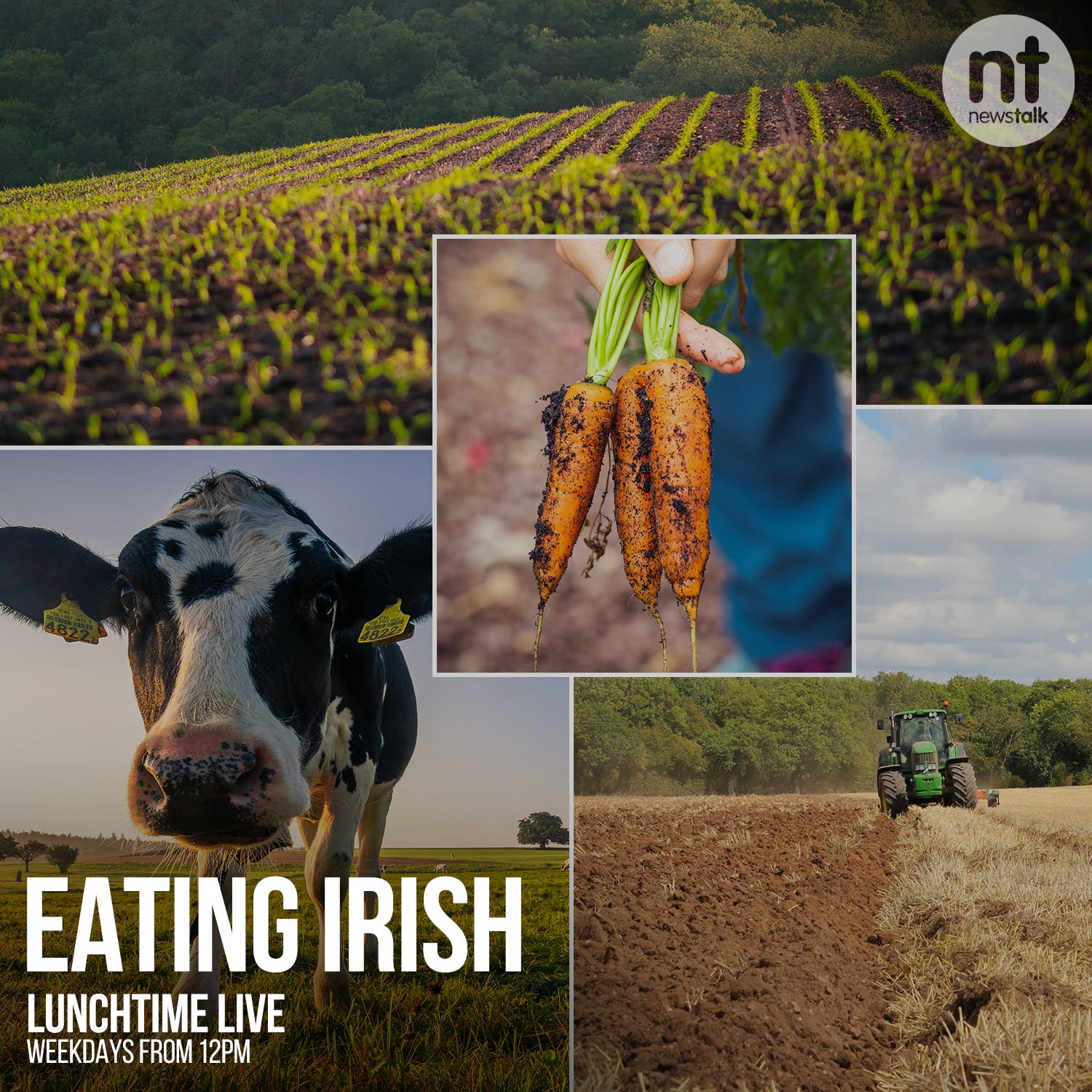 Eating Irish Challenge | Newstalk