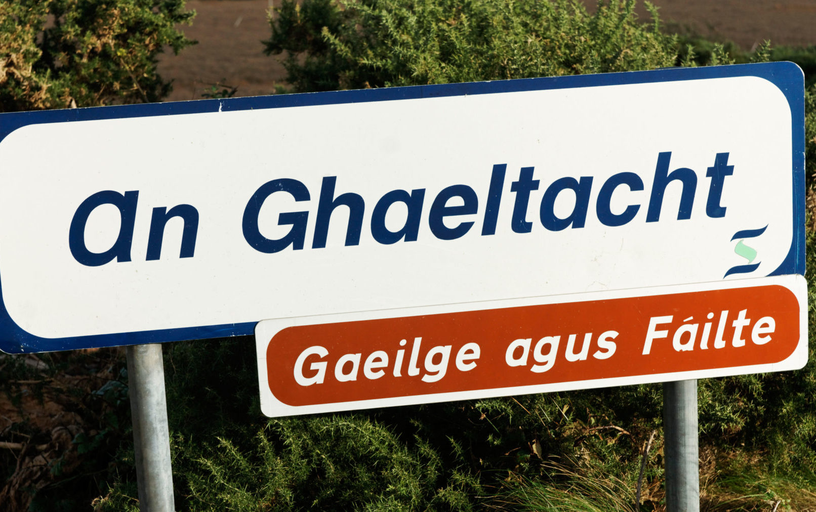 Expanding Irish language exemption 'completely against' education ...