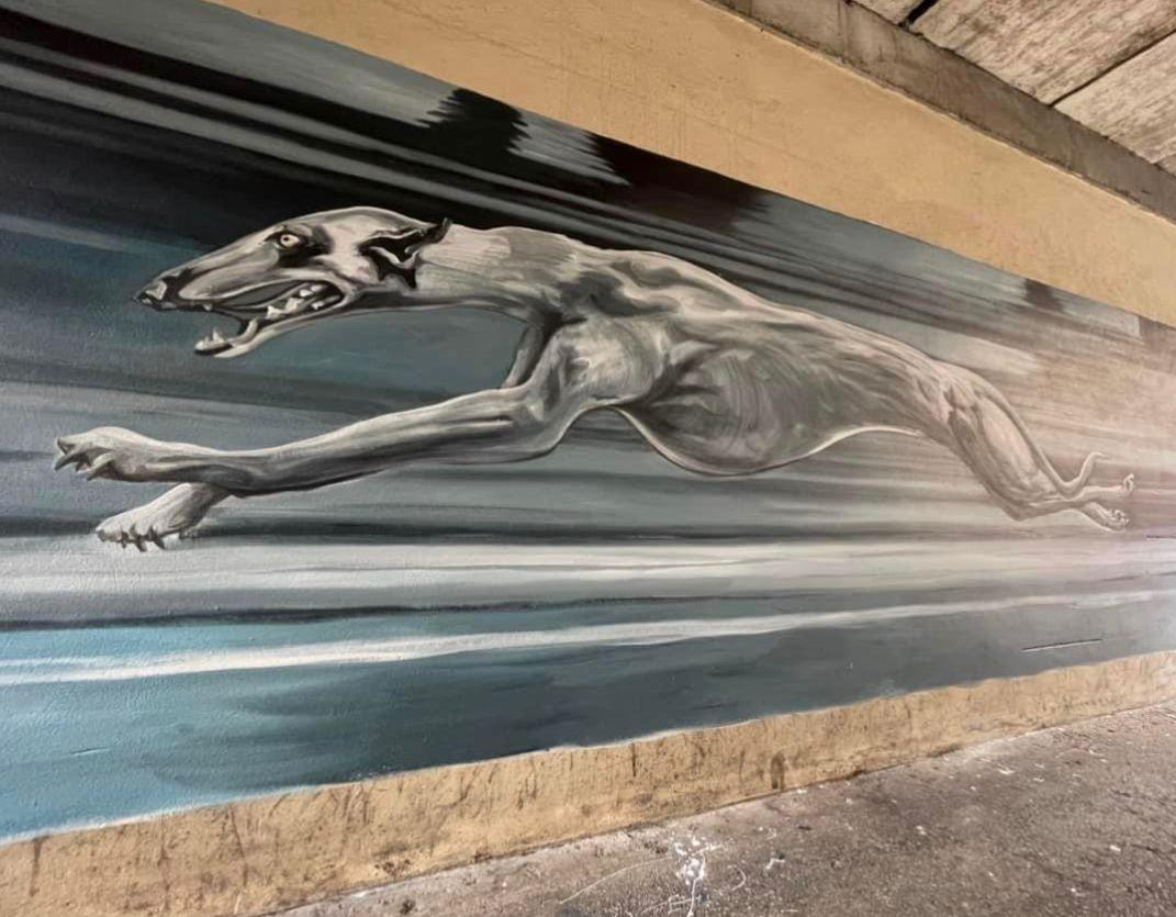 Artist 'surprised and very disappointed' after mural erased from Tralee ...