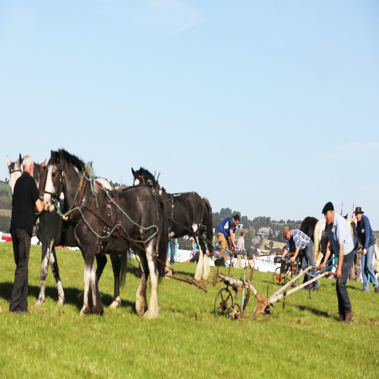 Bobby at Ploughing - Bobby visits the Local Enterprise Village at the ...