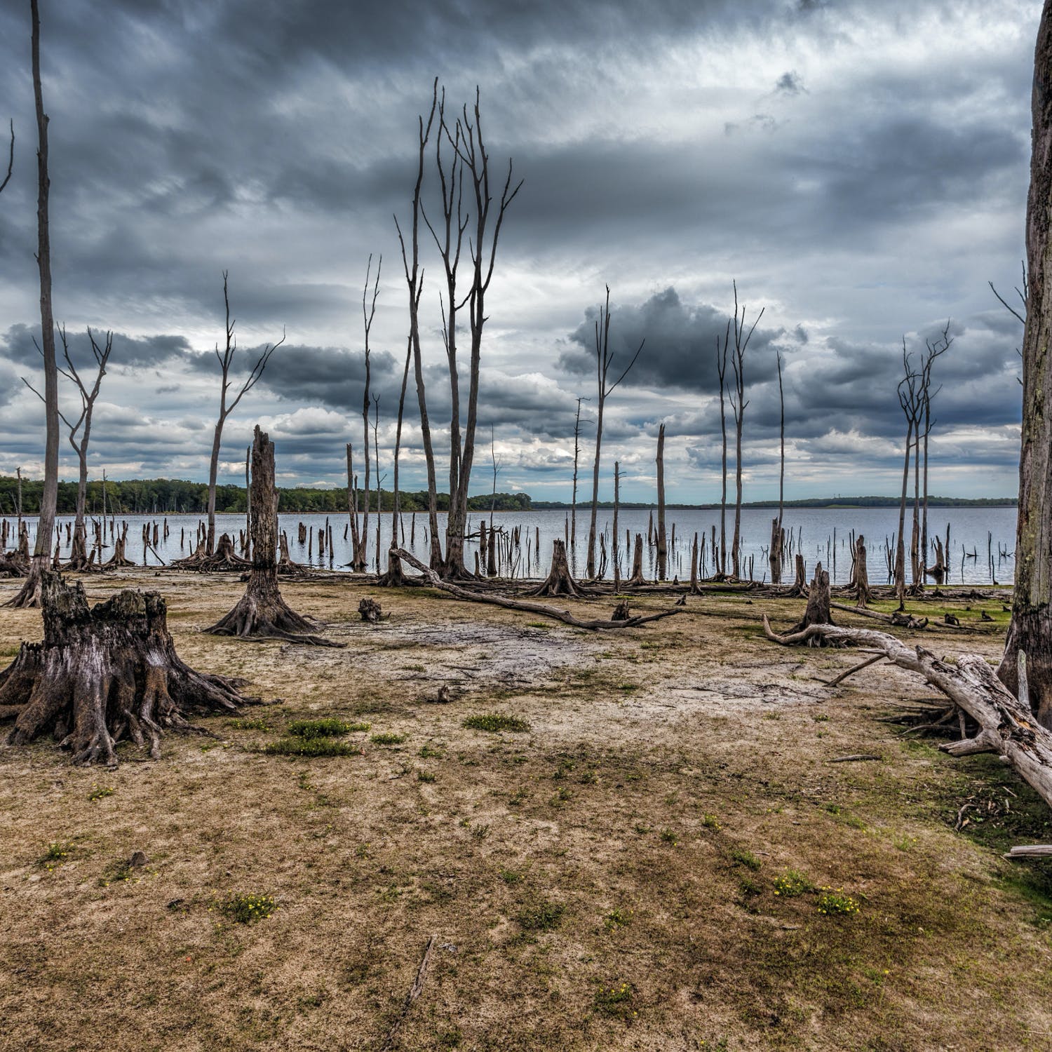 The Last Word On The Environment : Five Climate Myths Debunked