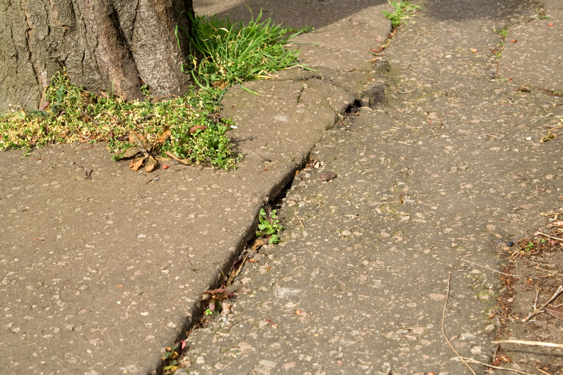 'Beyond repair' - Over €150m paid out for trips and falls on Irish ...