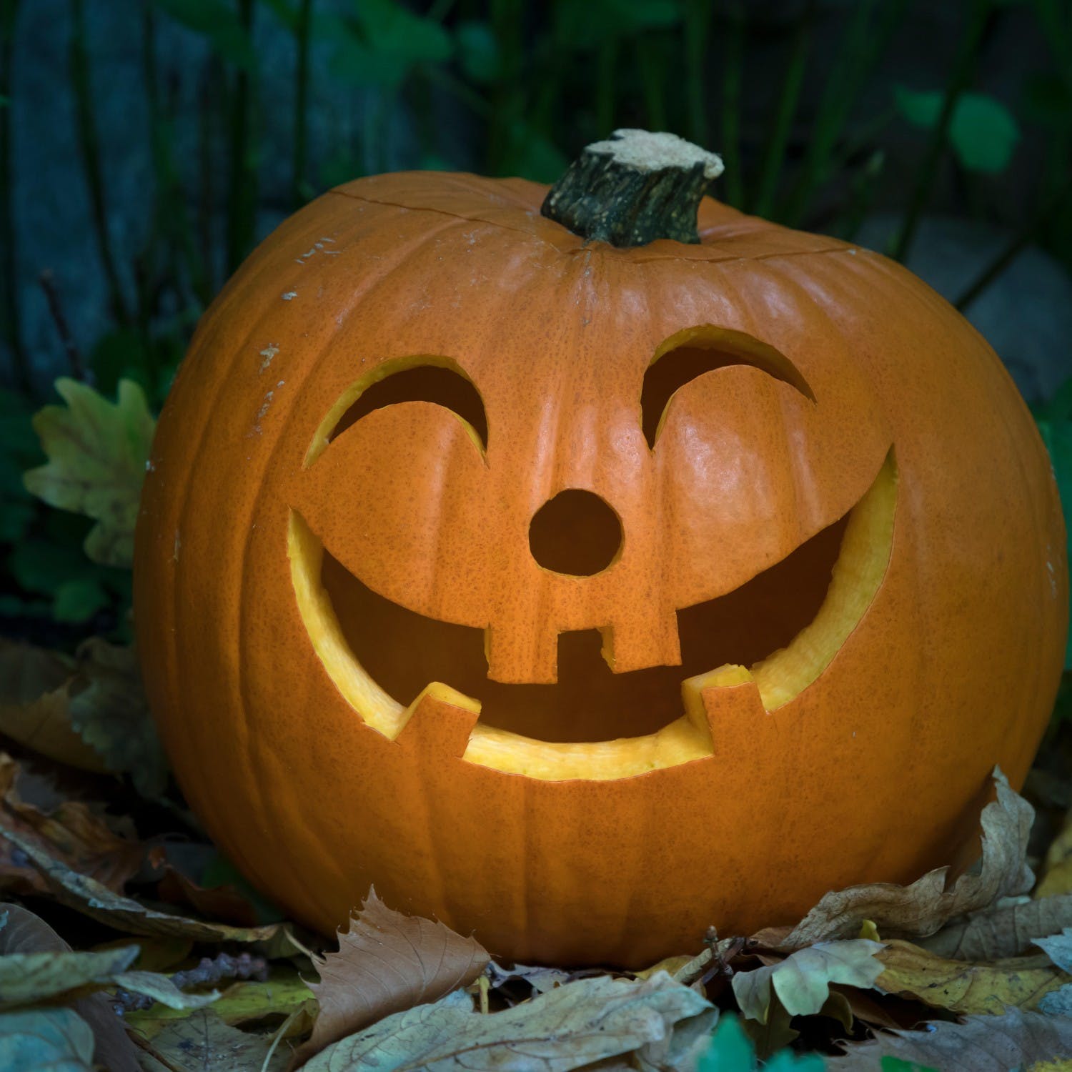 Get your Garden & Home ready for Halloween | Newstalk