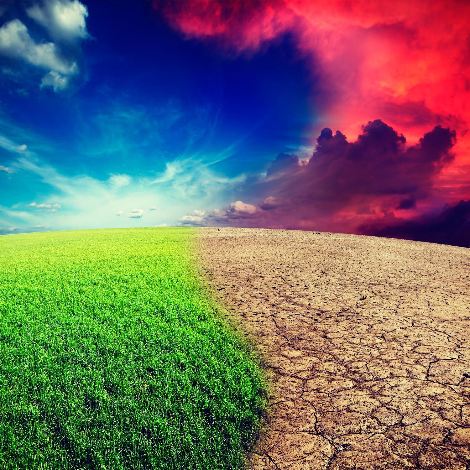 Are we experiencing climate change fatigue? | Newstalk