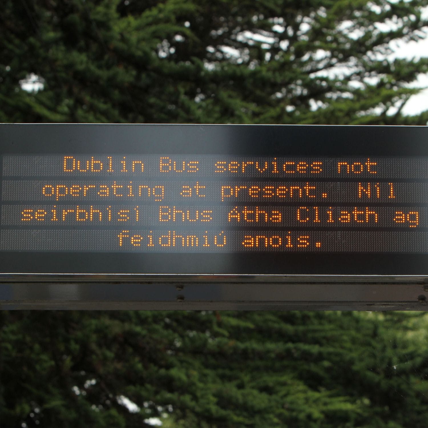 Ward: 'People left stranded at bus stops due' to ghost buses | Newstalk