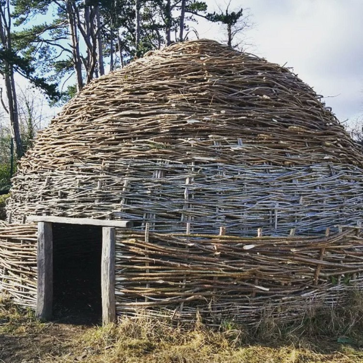 Medieval roundhouse built at UCD | Newstalk