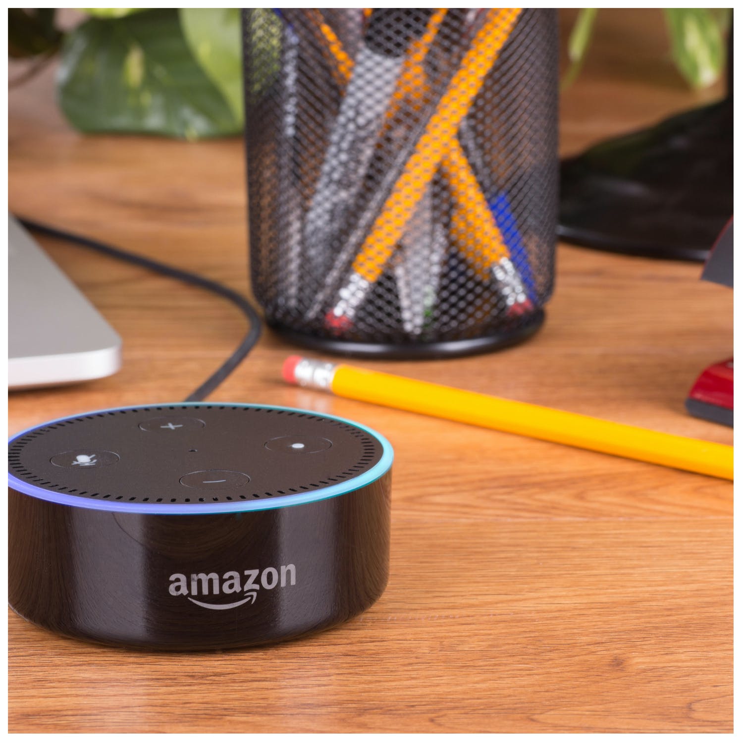 Gift Grub: Any craic, Alexa?