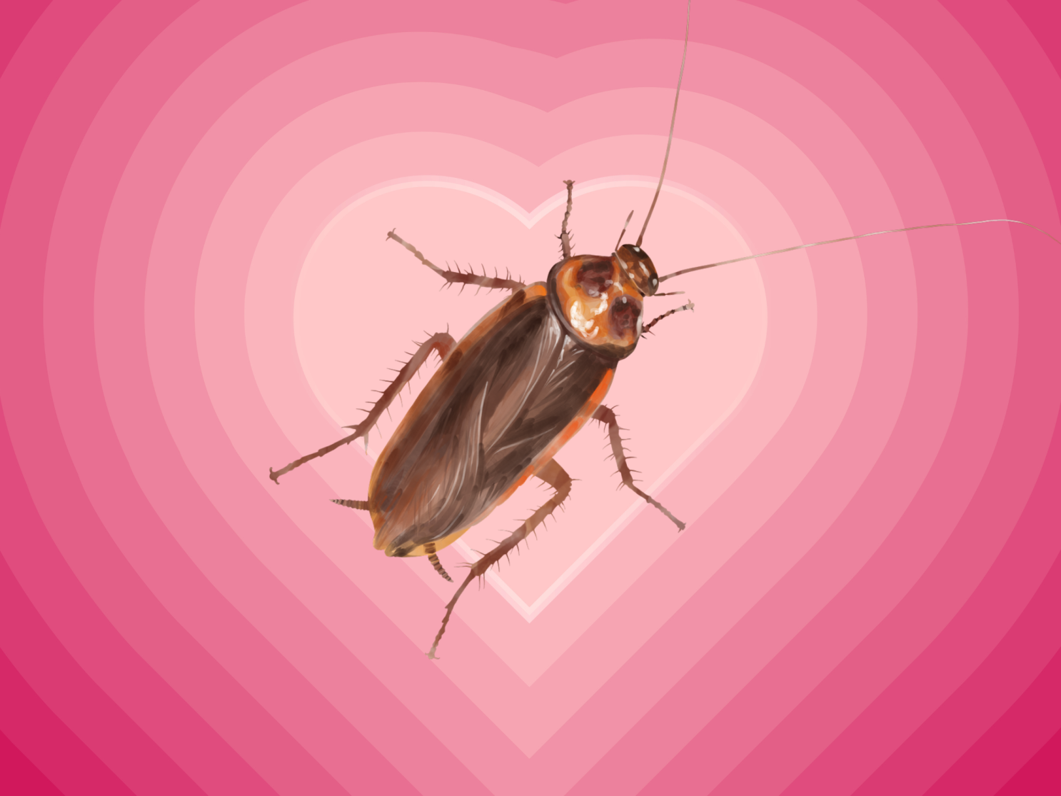This Zoo In America Let's You Name A Cockroach After Your Ex | www.98fm.com