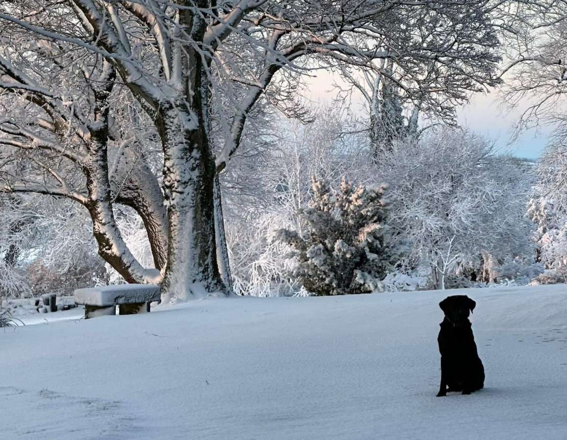 The best places to go for snow this Christmas | Newstalk