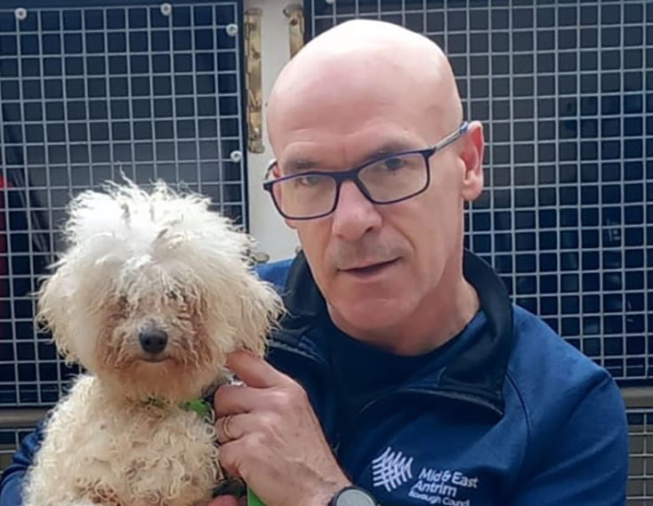 Dog found in Co Antrim 'missing from Scotland since last year' | Newstalk