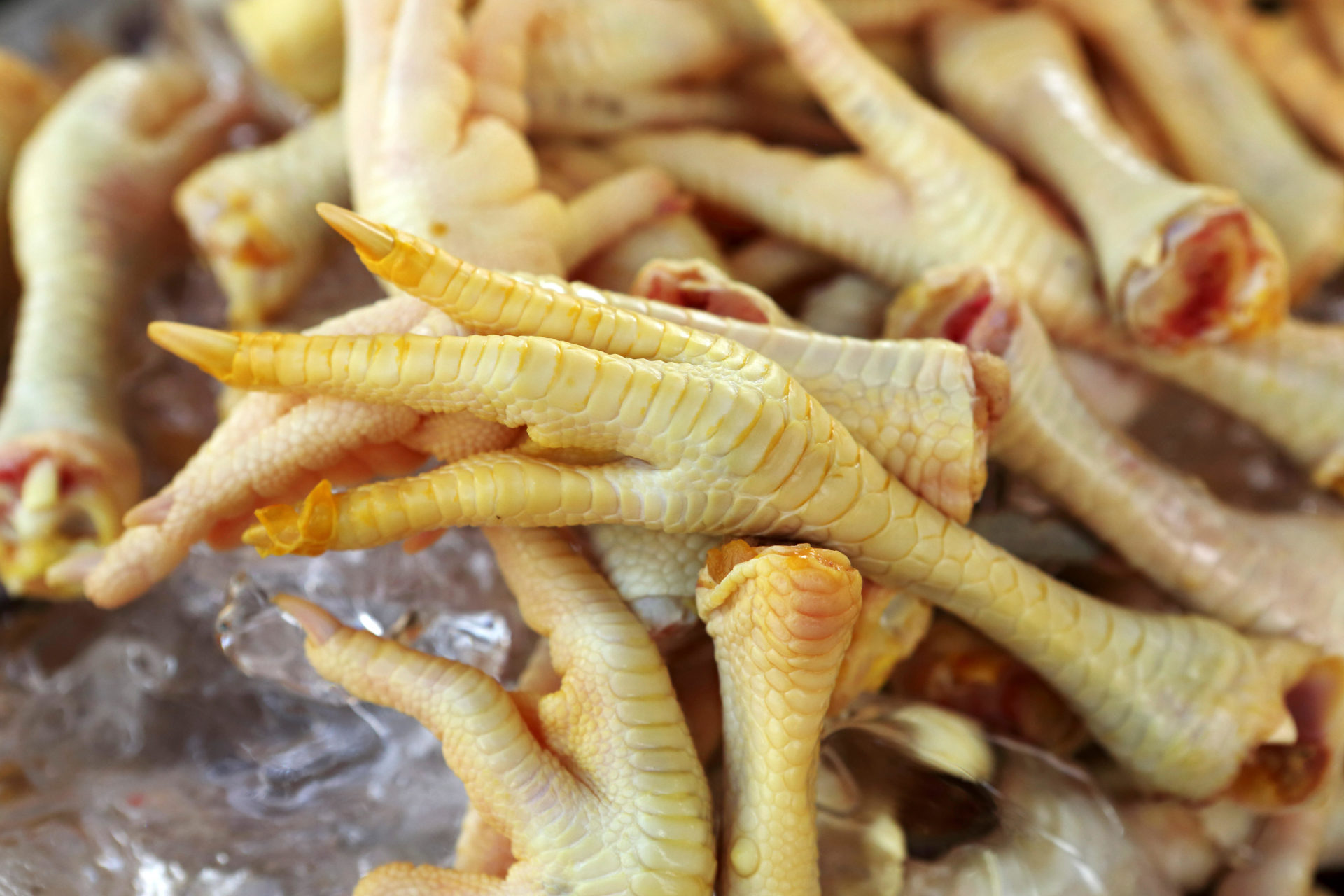 TikTok behind chicken feet's surging popularity | Newstalk