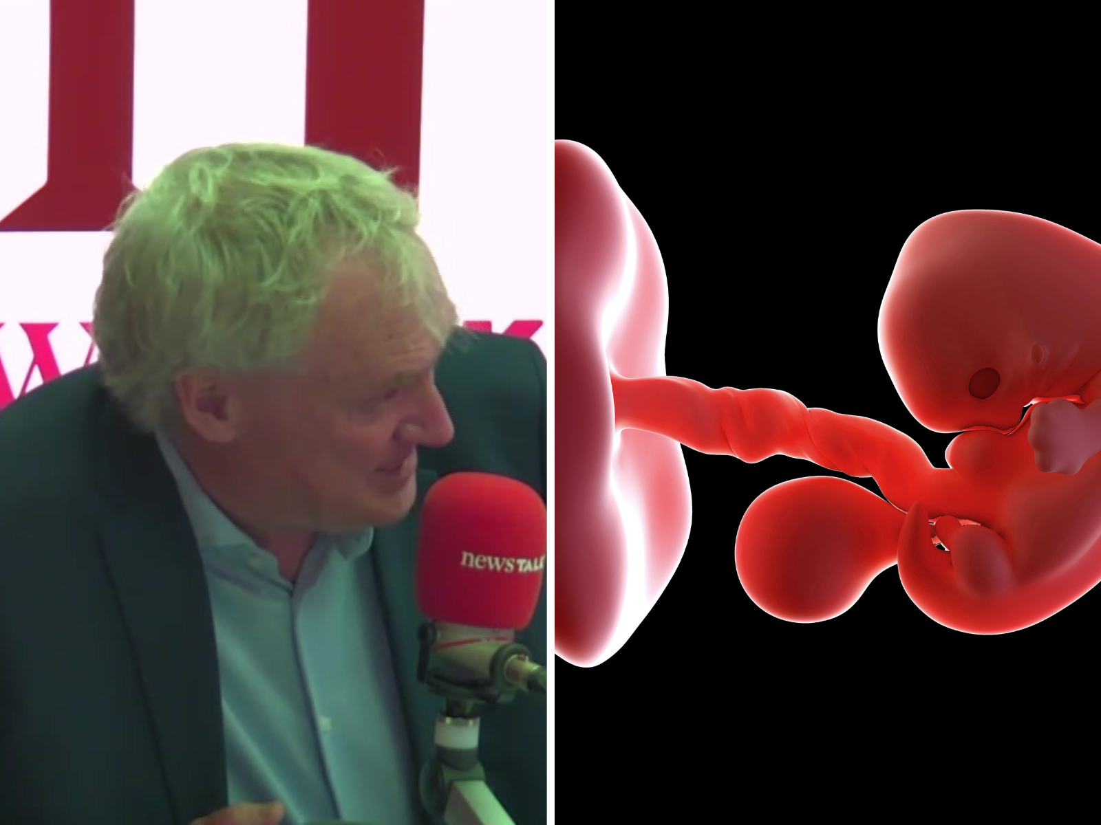 Luke O'Neill: Embryo now can be made without sperm or egg | Newstalk