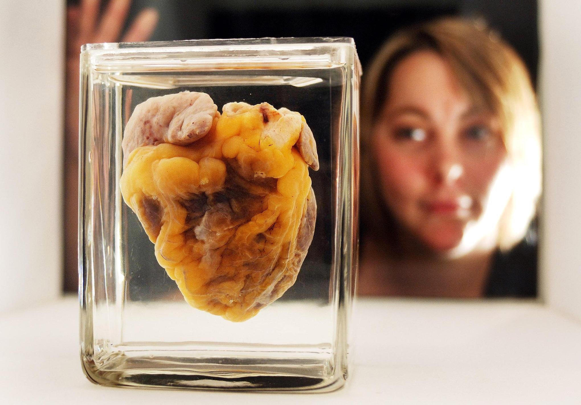 ‘I gave my heart to a museum’ | Newstalk