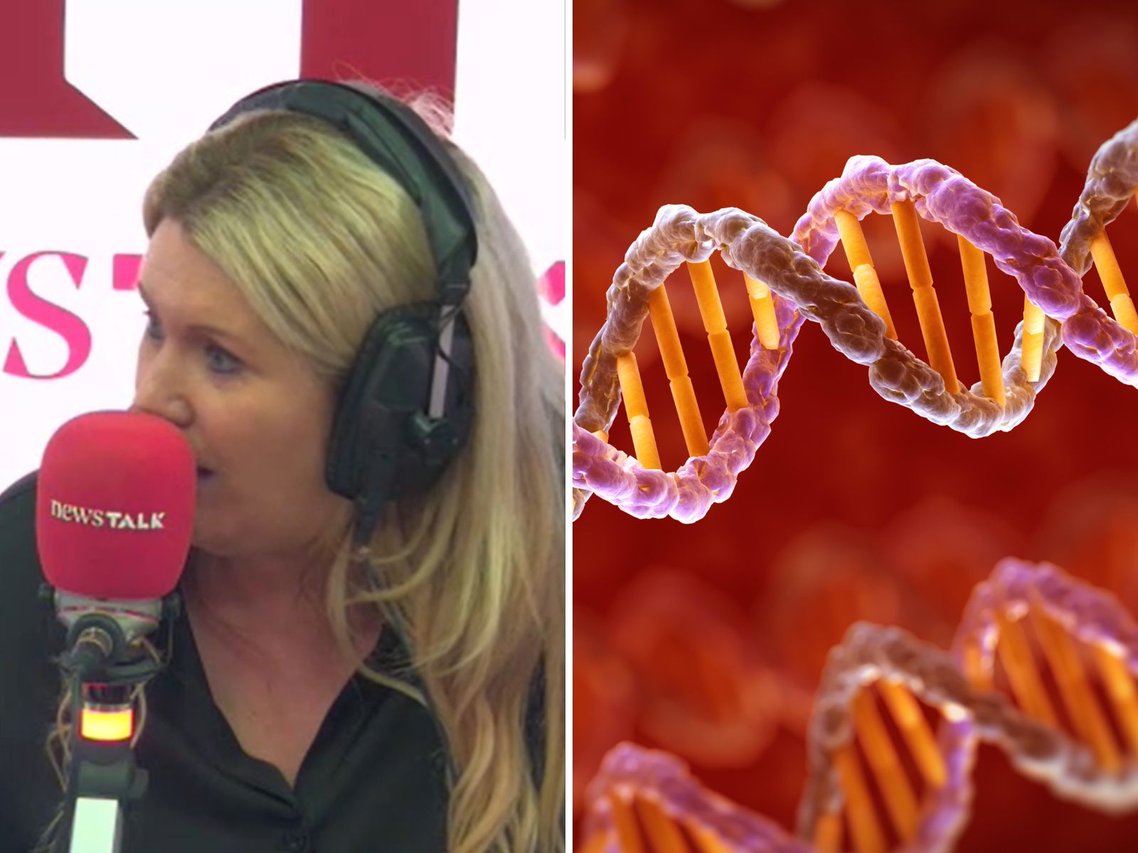 Andrea Gilligan finds out just how 'Donegal' she is | Newstalk