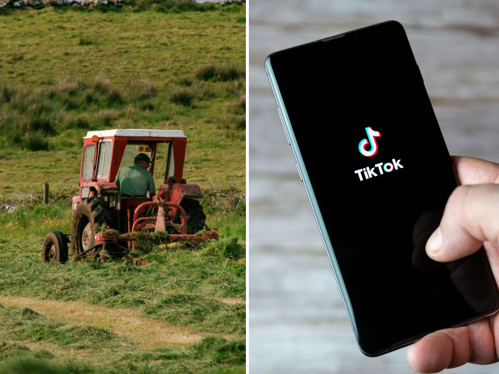 Ploughing Championships: ‘FarmTok champions rural communities' | Newstalk