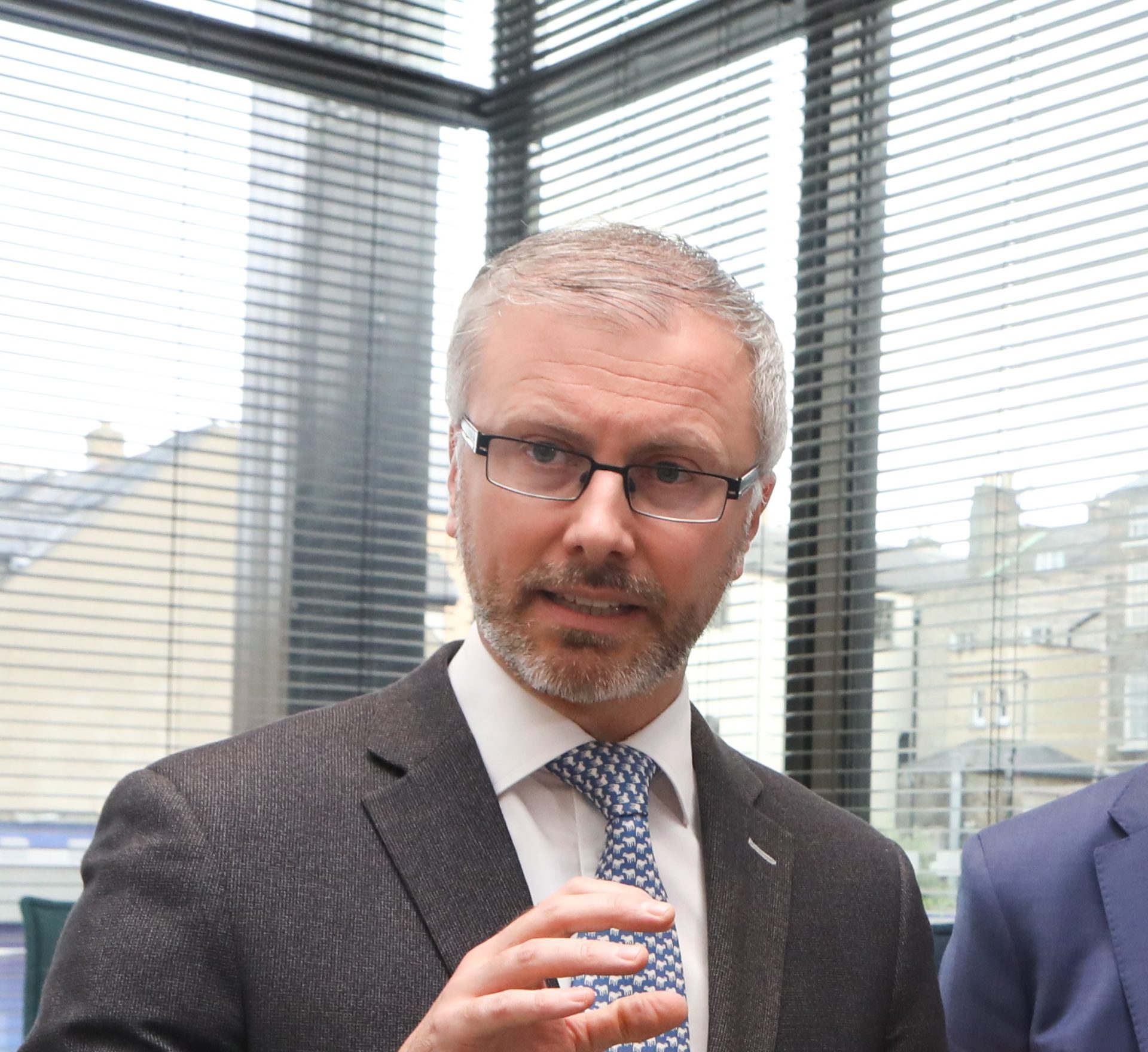 Green Party Leader Wants General Election On November 29th