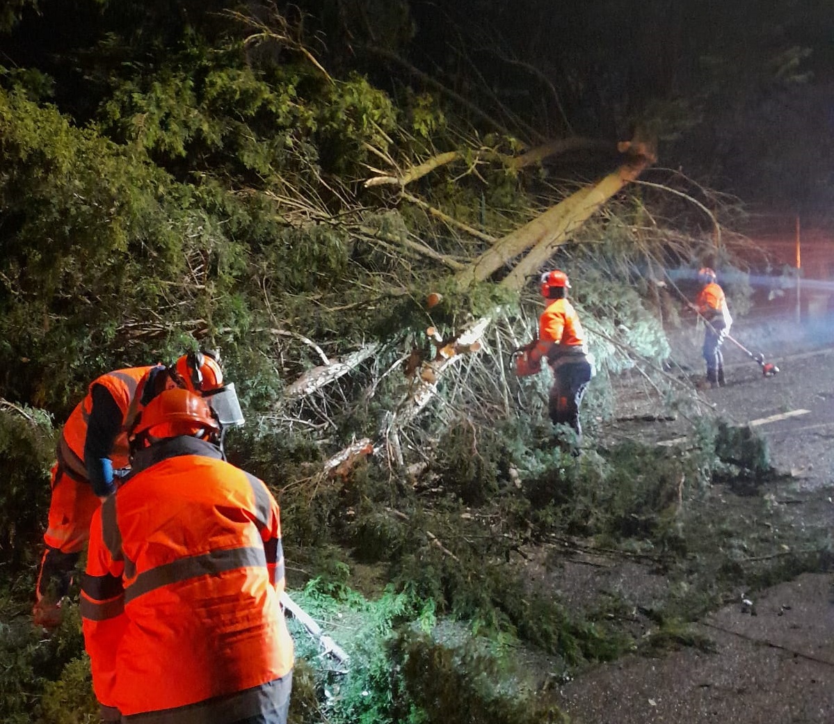 Storm Isha: Crews work to restore electricity following overnight winds ...