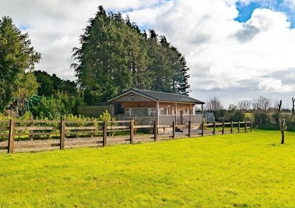 'They'll have to take me forcibly' - Man living in illegal cabin ready ...