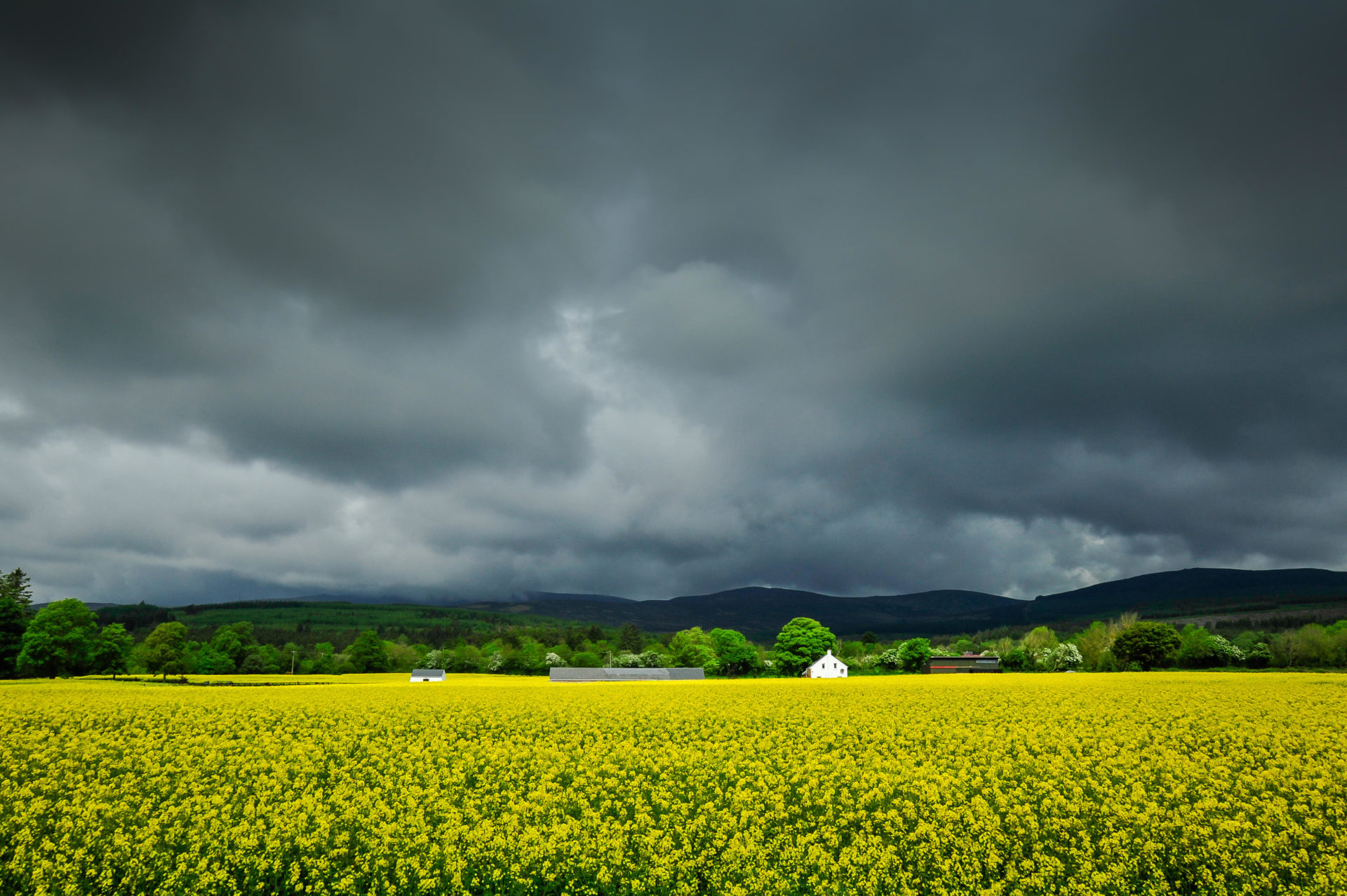 Status Yellow thunderstorm warning issued across Ireland | Newstalk