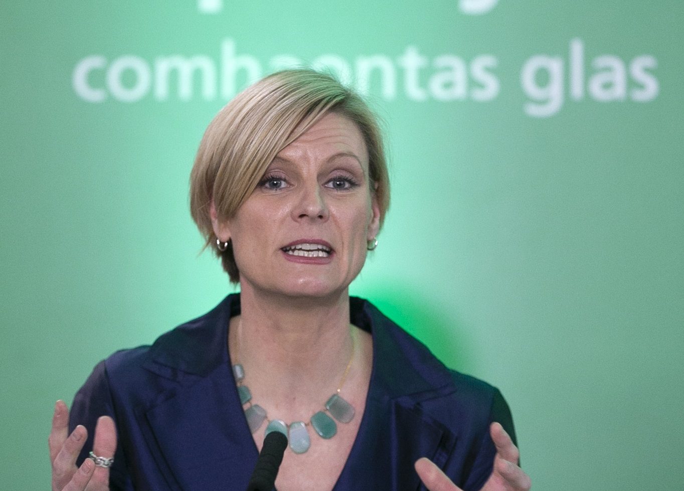 Pippa Hackett will run for Green Party leader | Newstalk