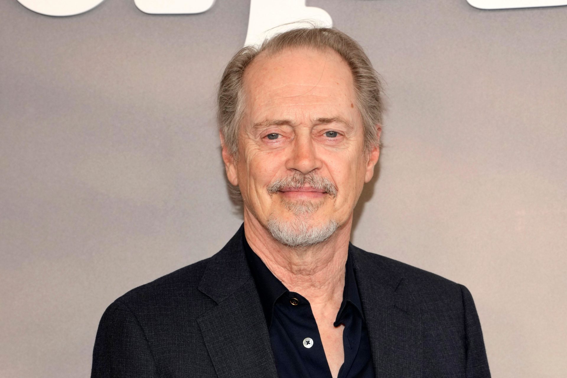 Hollywood Actor Steve Buscemi Lends A Hand After ‘Vicious Fight ...