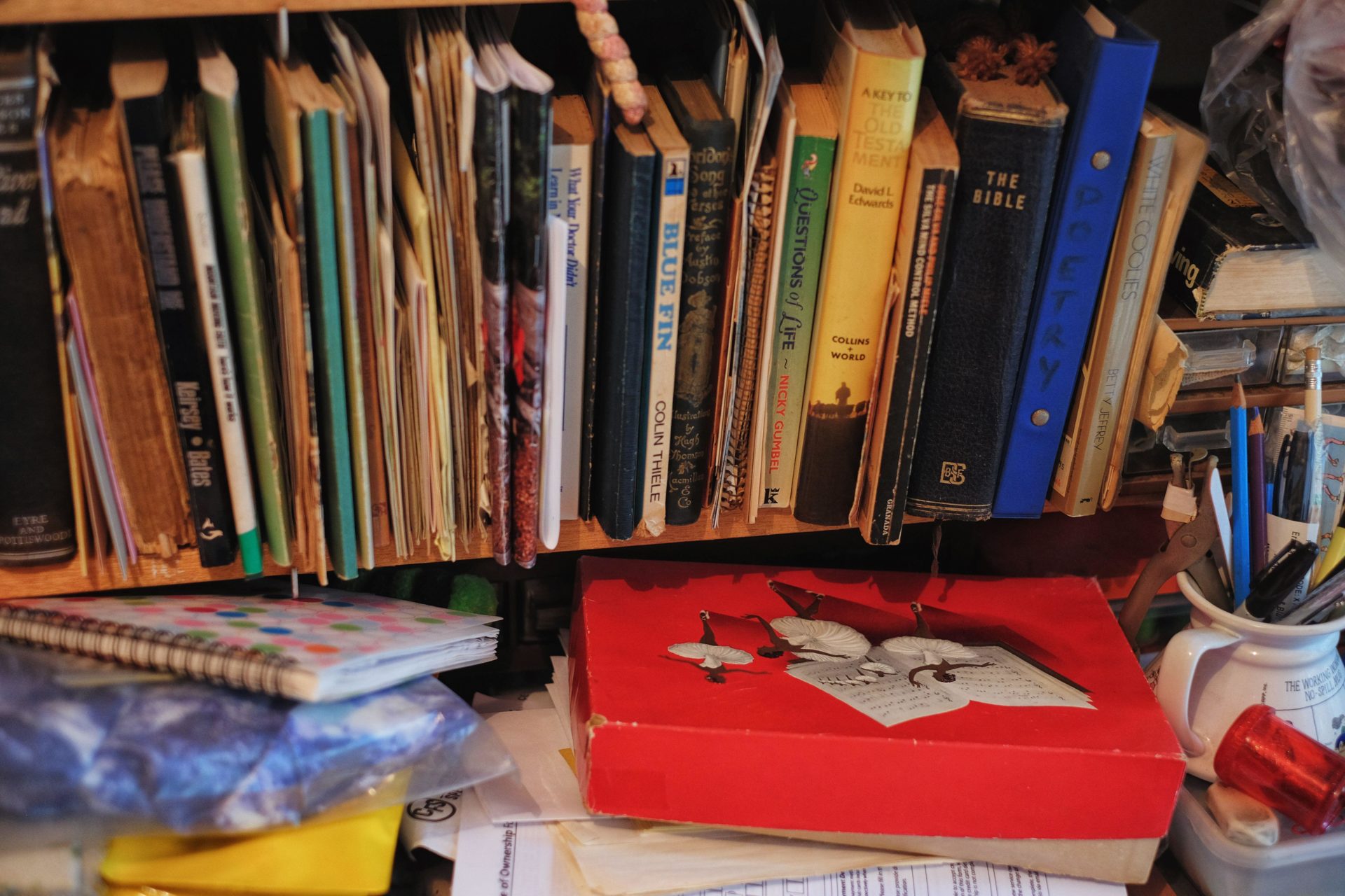 Irish family’s ‘insular and bigoted’ portrayal in SPHE book branded ...