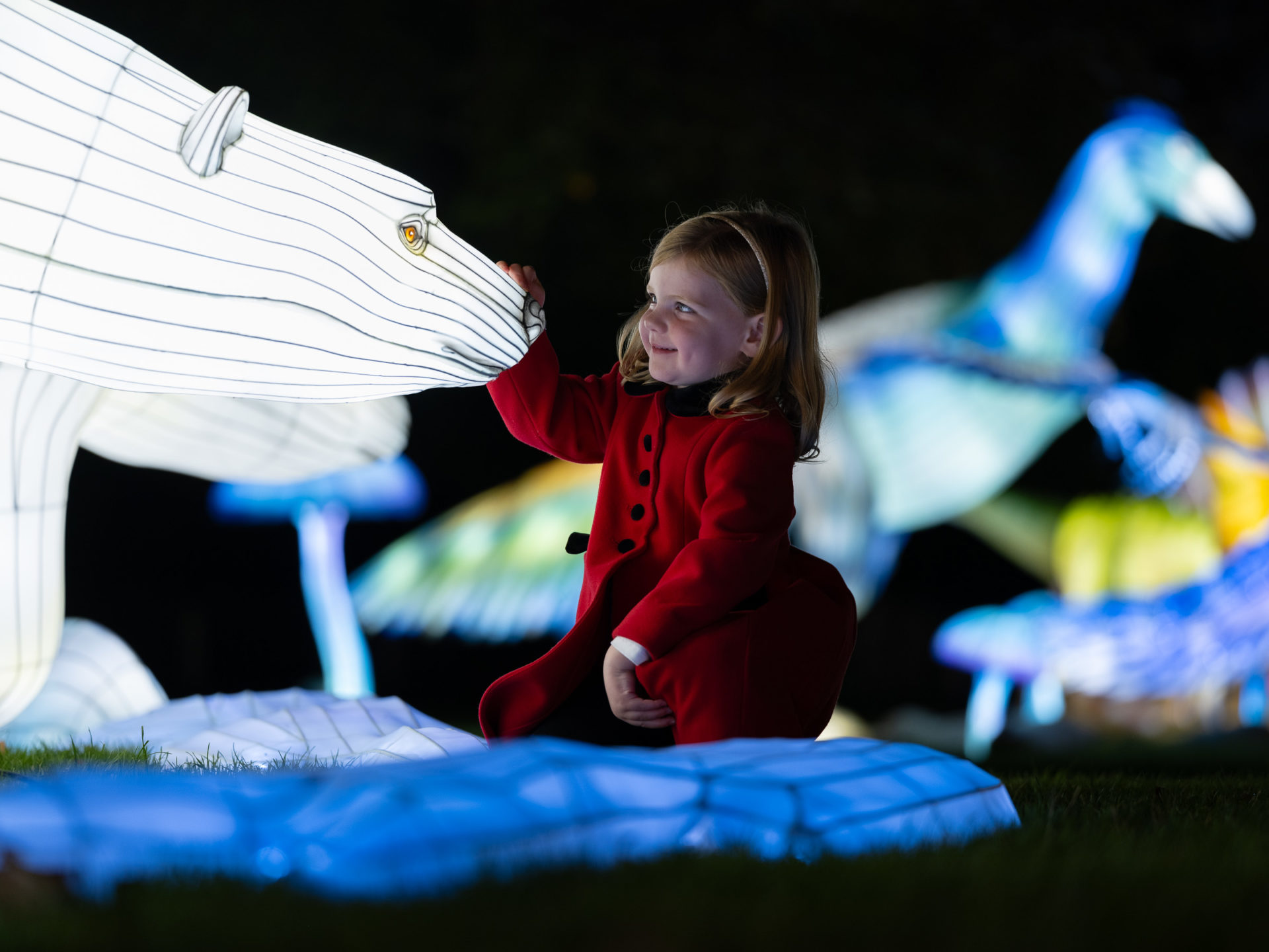 Wild Lights Is Back At Dublin Zoo For 2024 | www.98fm.com