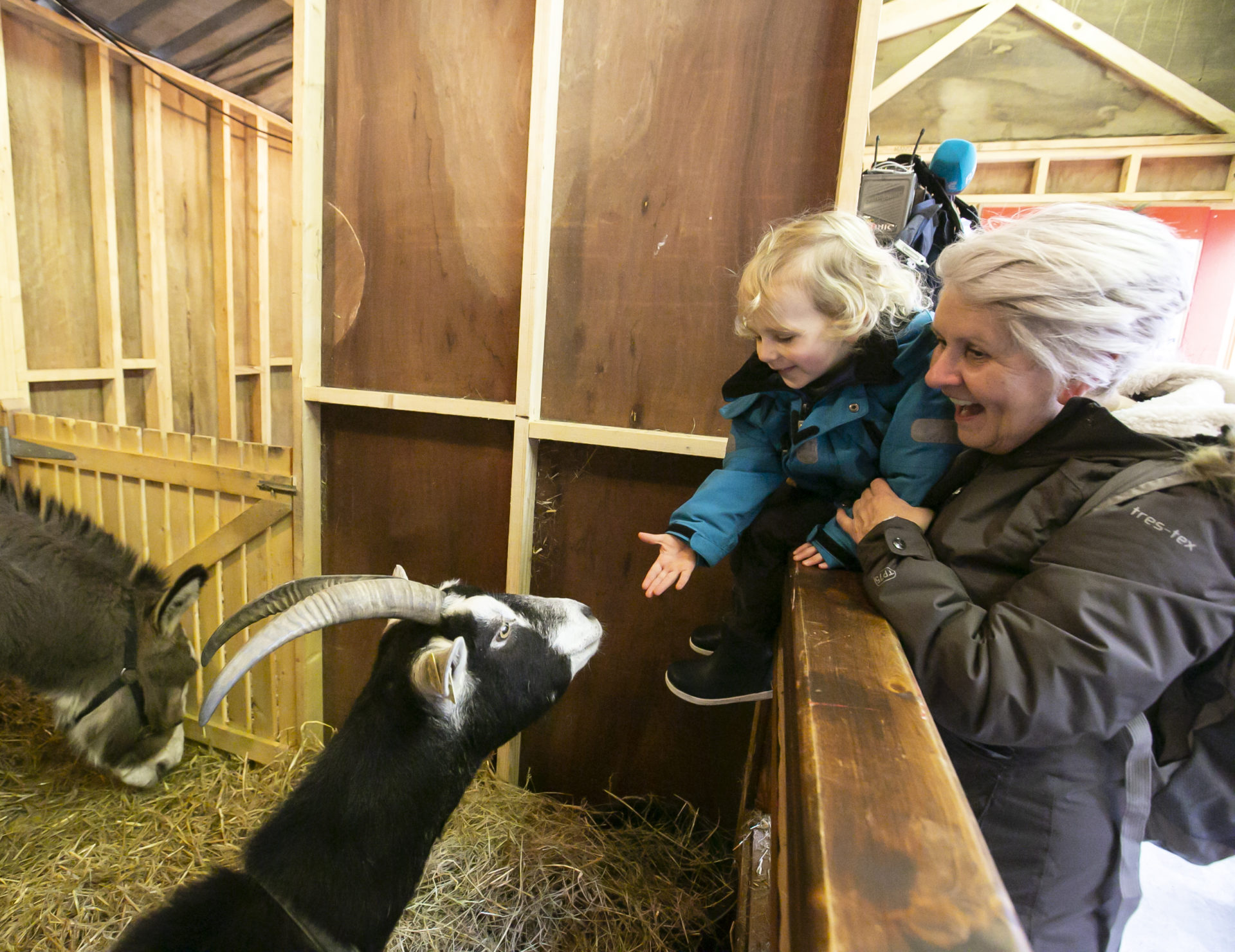 Dublin's live animal crib 'inappropriate in this day and age' | Newstalk