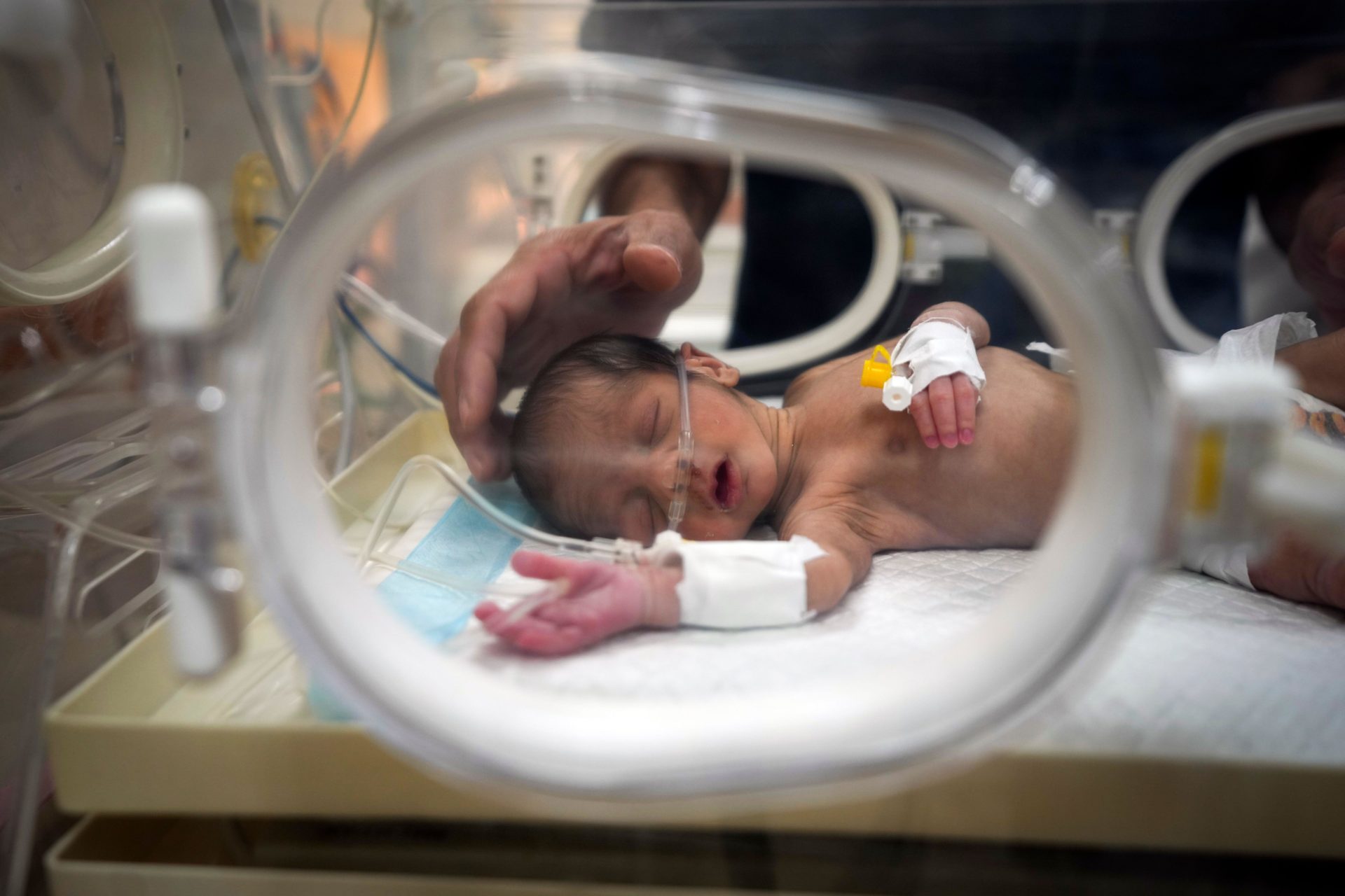 Five babies dead from hypothermia in Gaza as Israel targets hospitals ...