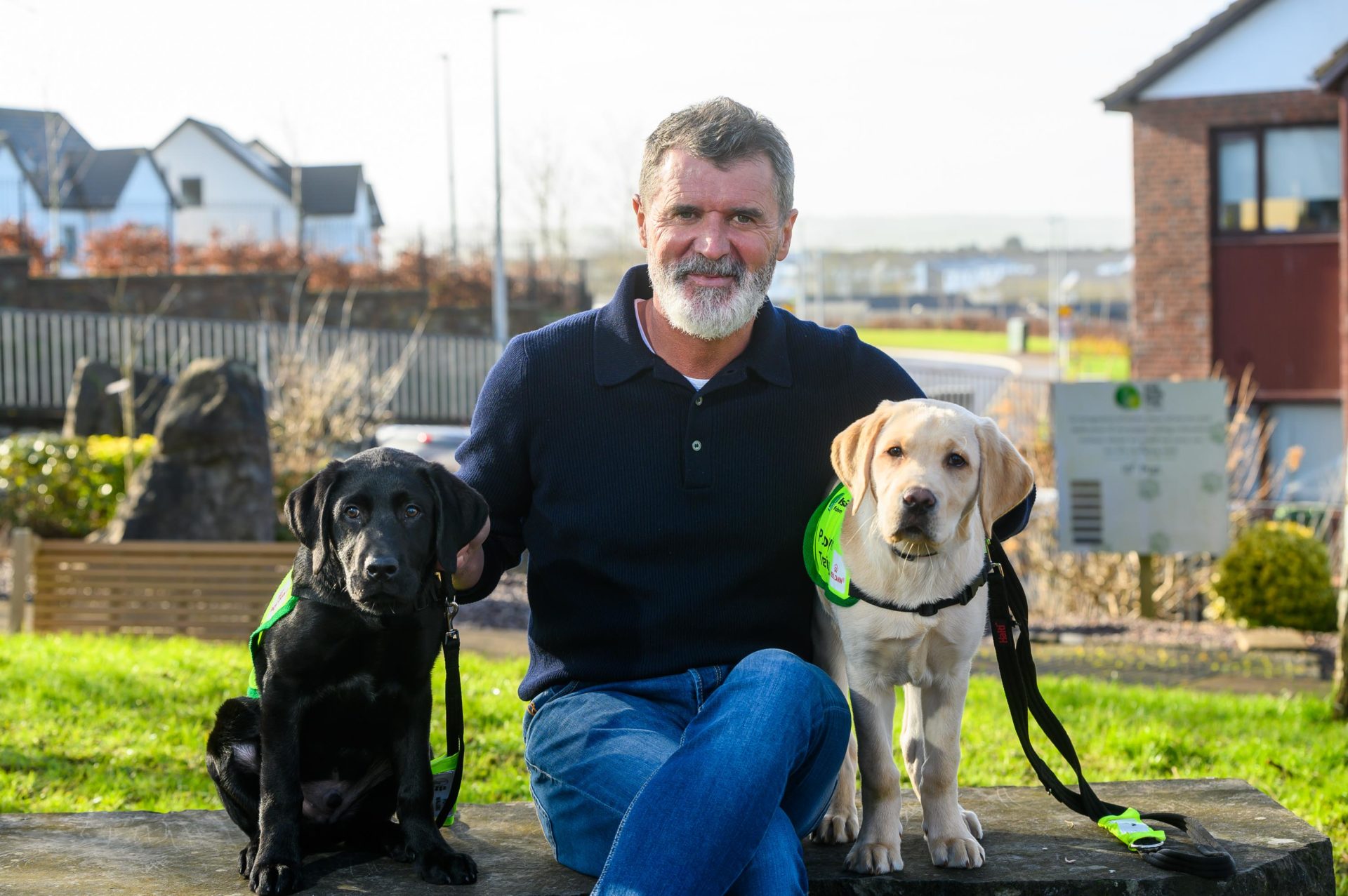 Roy Keane meets puppies in training at the Irish Guide Dogs for the ...