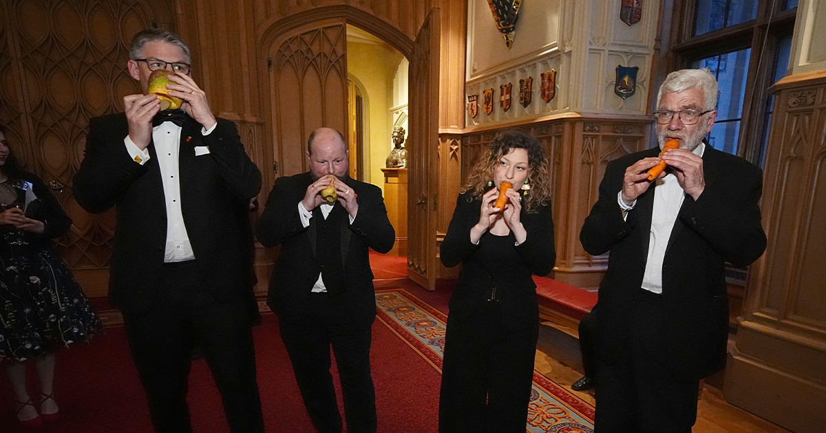 The London Vegetable Orchestra is hitting Dublin with real instruments ...