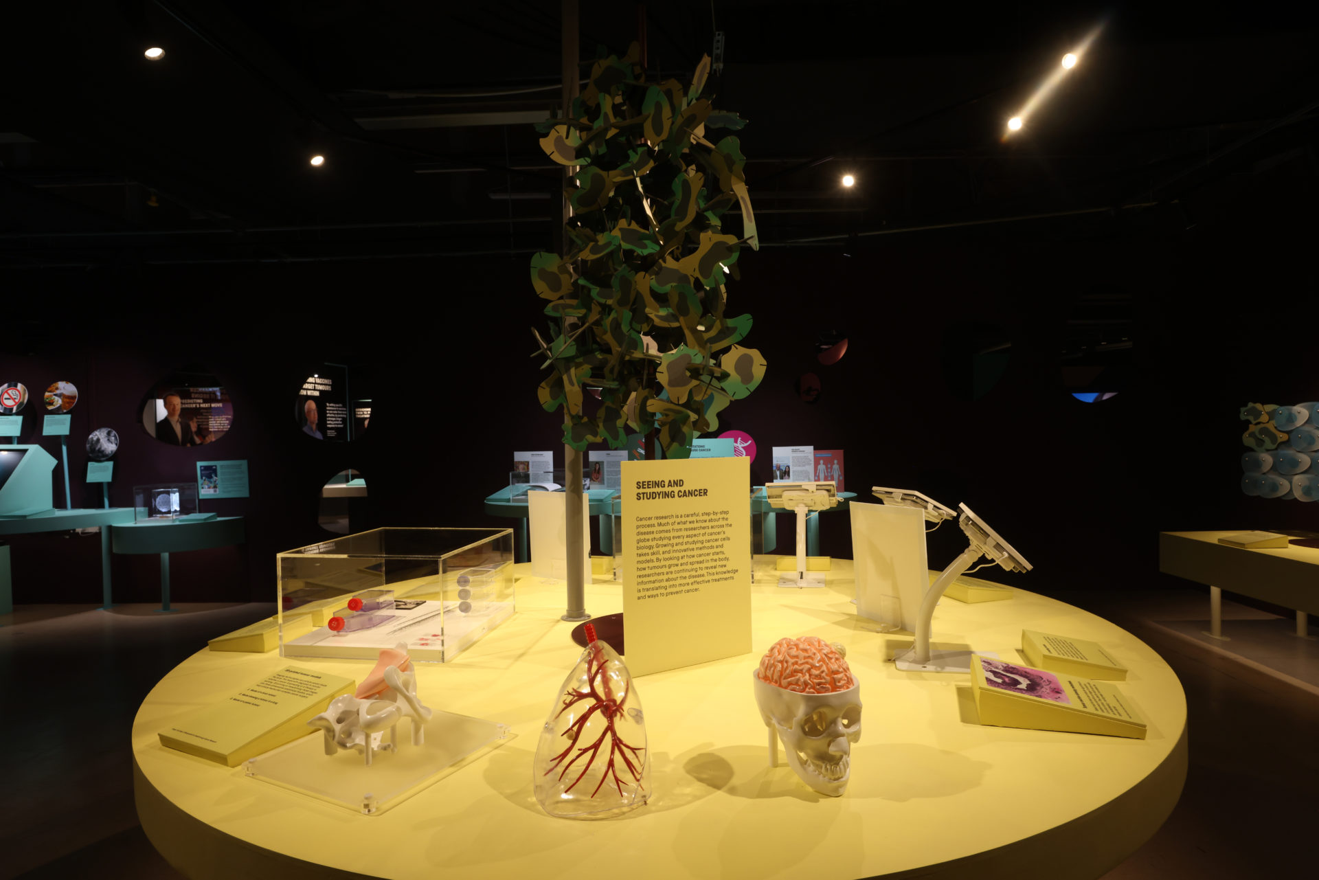 Cancer Revolution: Groundbreaking Free Exhibition In Dublin Opens Its Doors