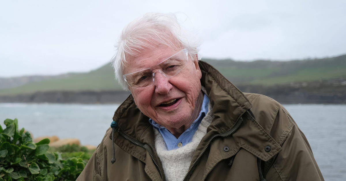 David Attenborough’s Ocean Is Coming To Dublin With Live Concert ...